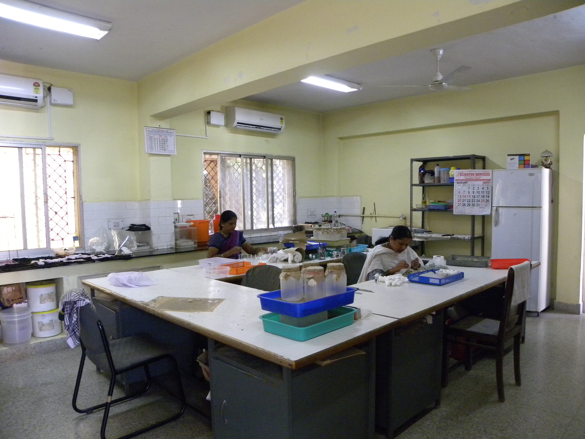 Photo Gallery | nbair