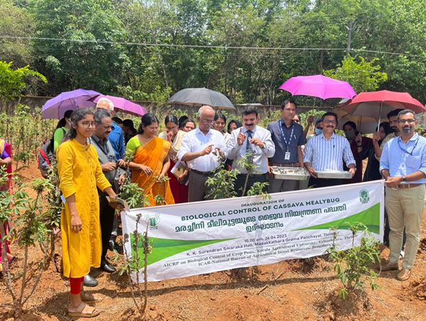 ICAR-NBAIR in collaboration with ICAR-CTCRI, Thiruvananthapuram and ...